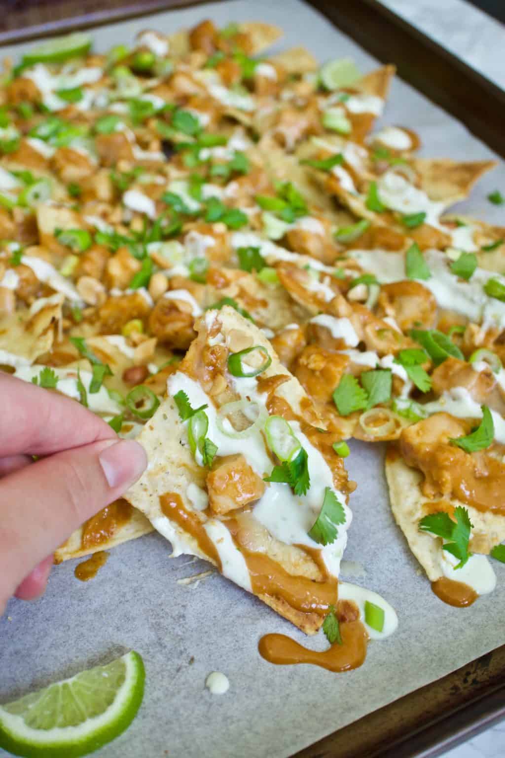Asian Chicken Nachos with Peanut Sauce - Yummy Noises